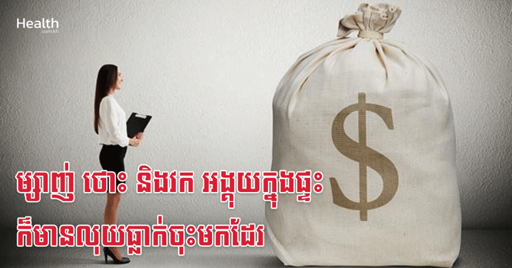 ម្សាញ់ ថោះ និងវក អង្គុយក្នុងផ្ទះ ក៏មានលុយធ្លាក់ចុះមកដែរ